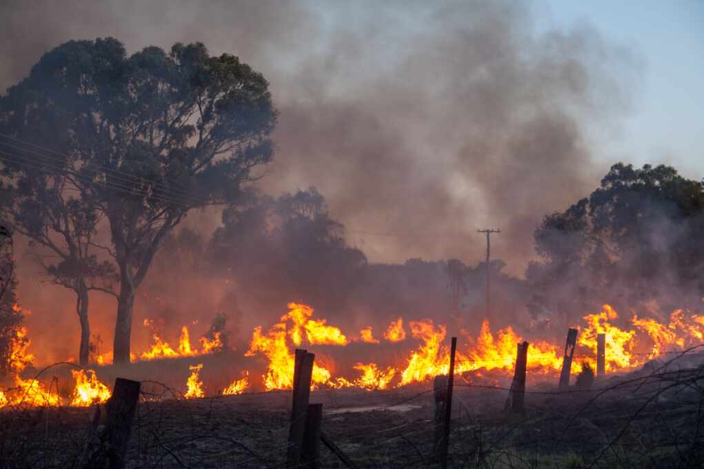 Australia’s Bushfire Crisis Claims First Life | American Seeker